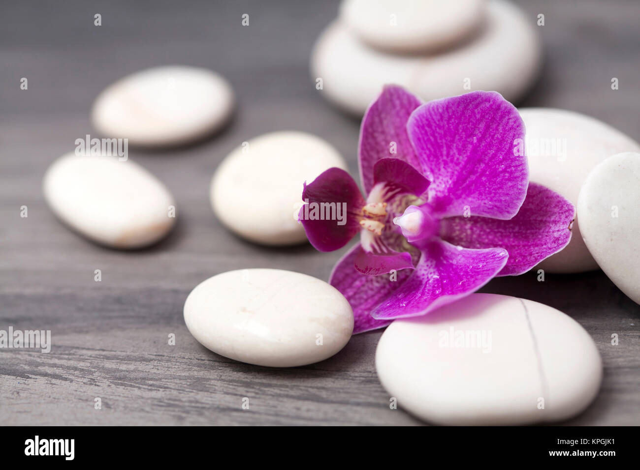 Plant beauty oriental hi-res stock photography and images - Alamy