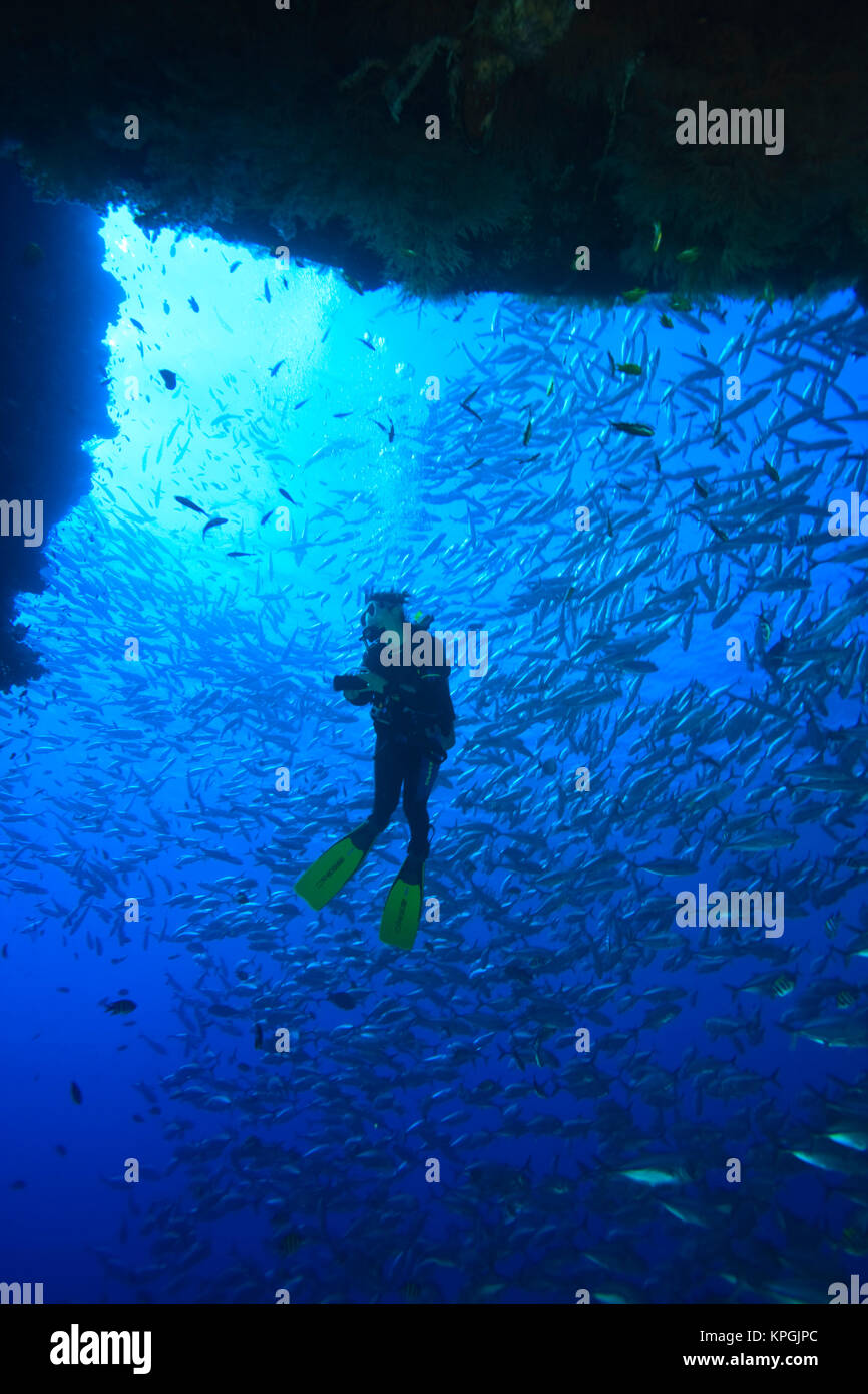 Woman scuba diver near World War II Shipwreck-Liberty Cargo Ship ...