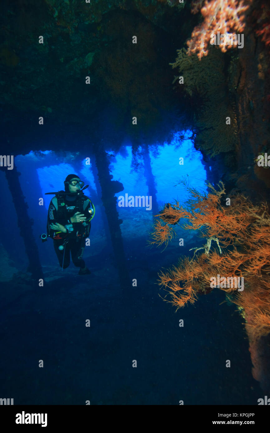Woman scuba diver near World War II Shipwreck-Liberty Cargo Ship ...