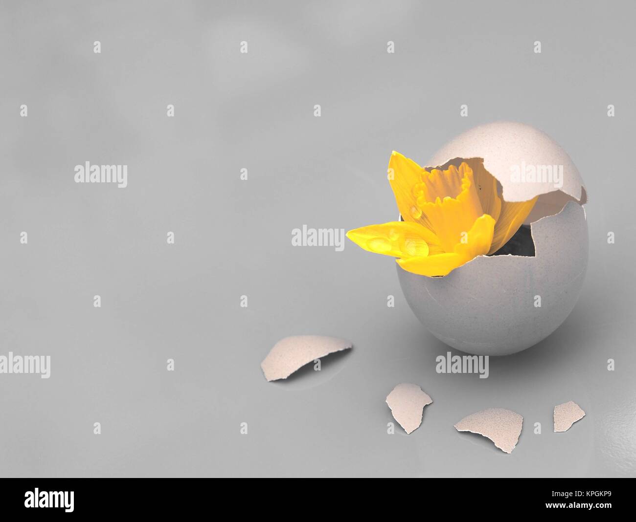 Spring awakening hi-res stock photography and images - Alamy