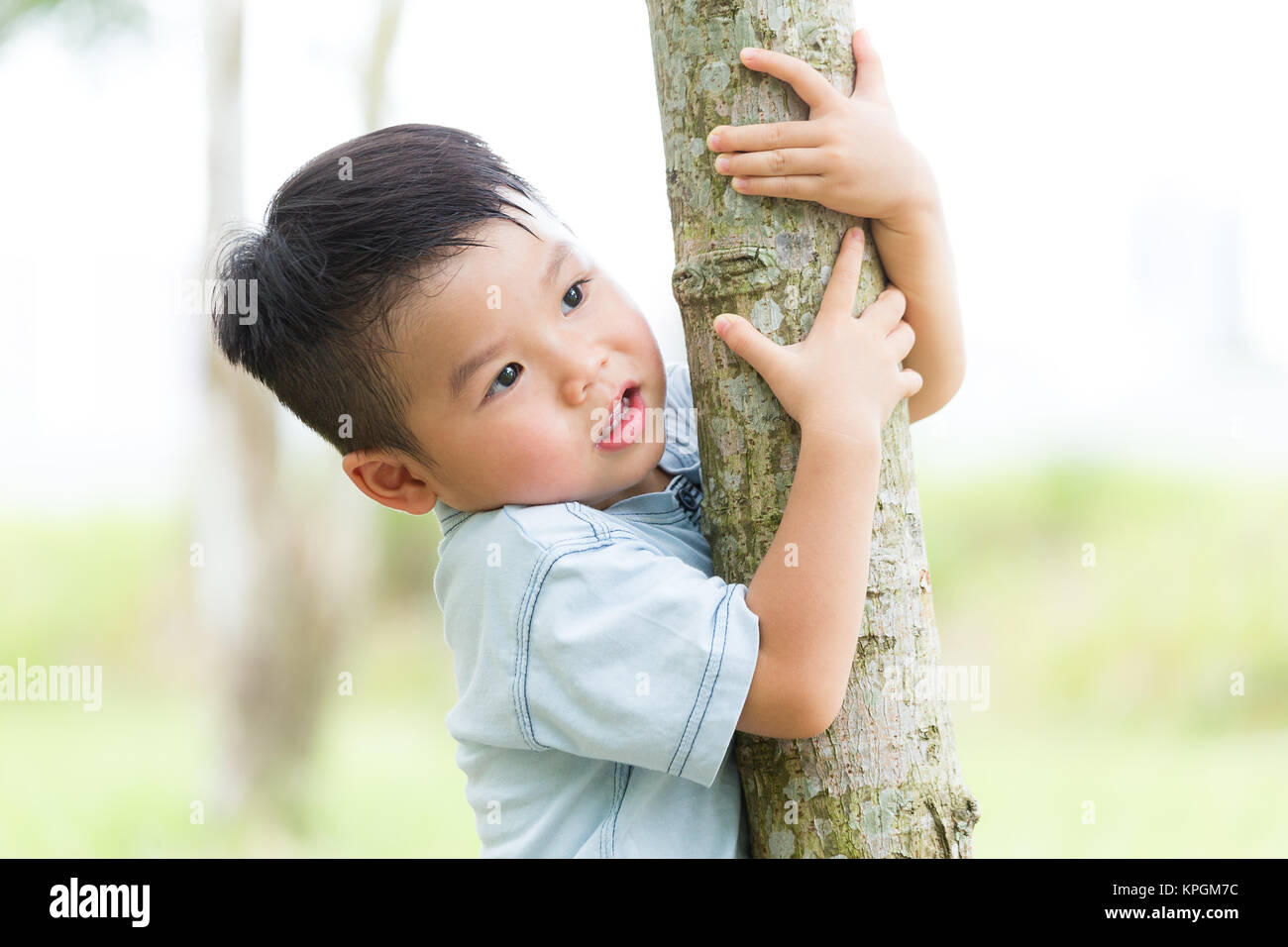 Asian Little boy want to clim up the tree Stock Photo - Alamy
