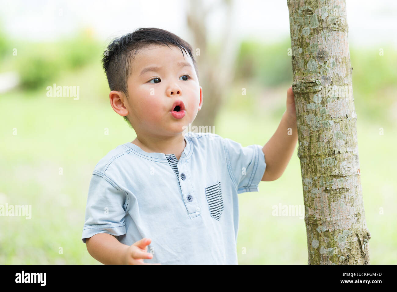 Little boy touch of the tree bark Stock Photo - Alamy