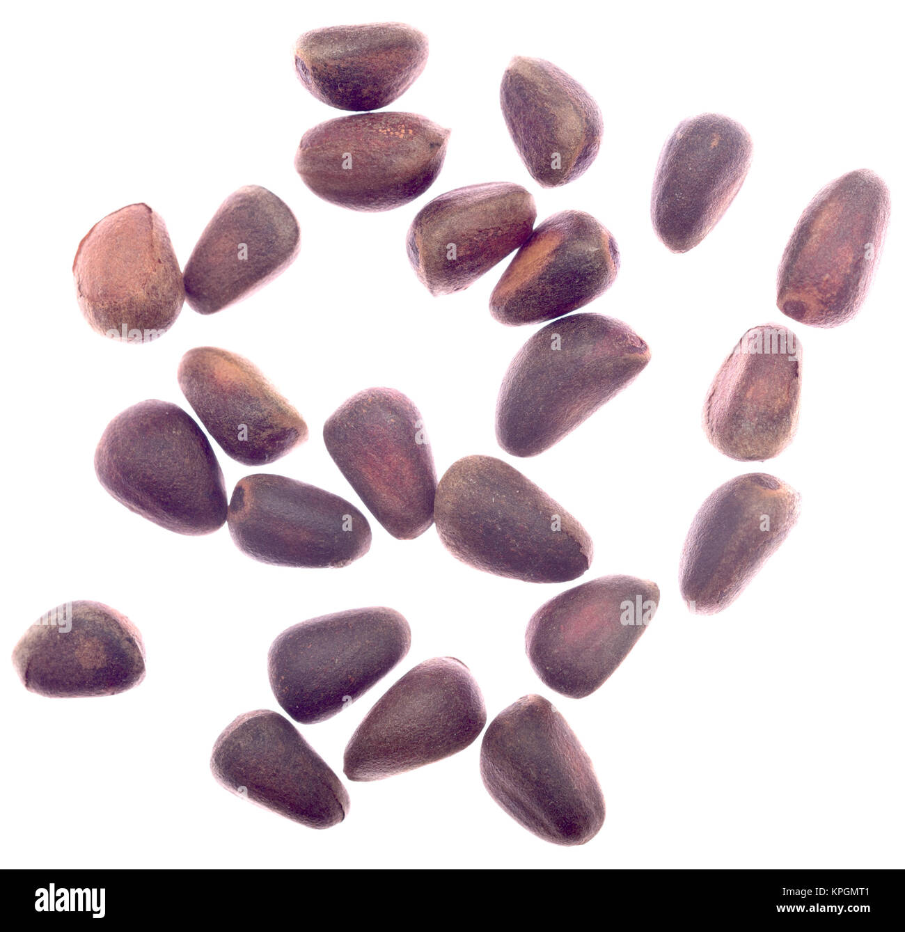 Pine seeds isolated on white background Stock Photo - Alamy