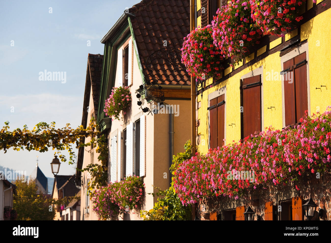 France, Bas-Rhin, Alsace Region, Alsatian Wine Route, Itterswiller ...
