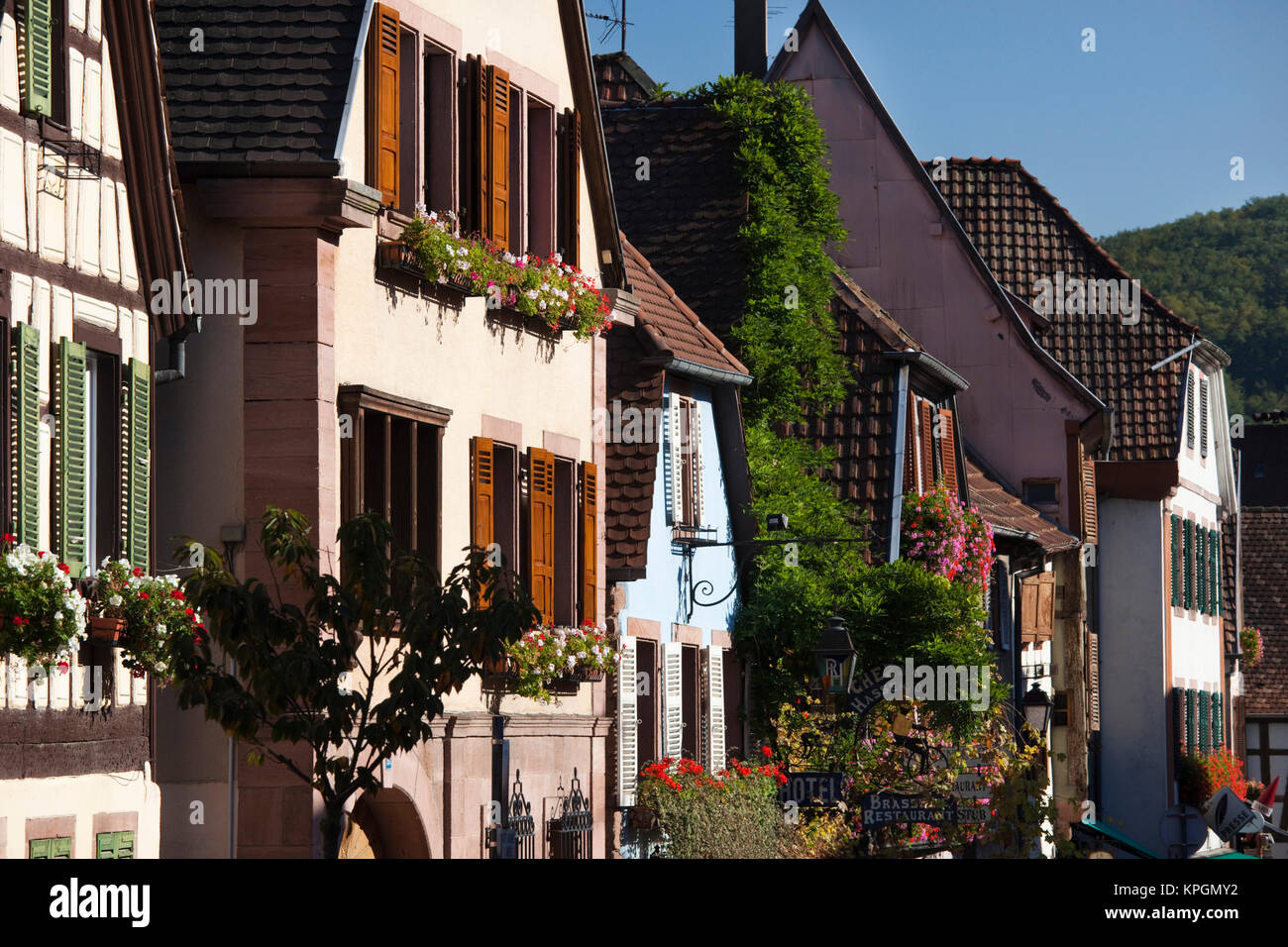 France, Haut-Rhin, Alsace Region, Alsatian Wine Route, Kaysersberg ...