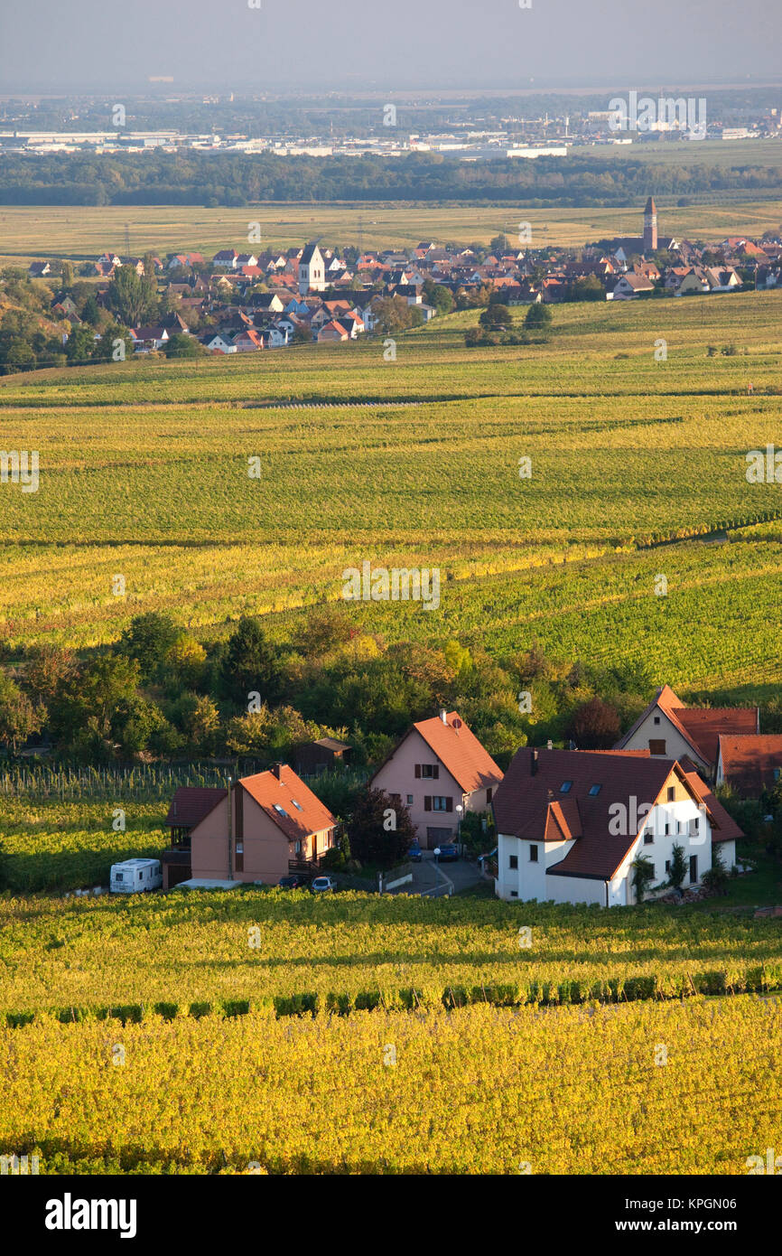 France, Haut-Rhin, Alsace Region, Alsatian Wine Route, Zellenberg, town ...