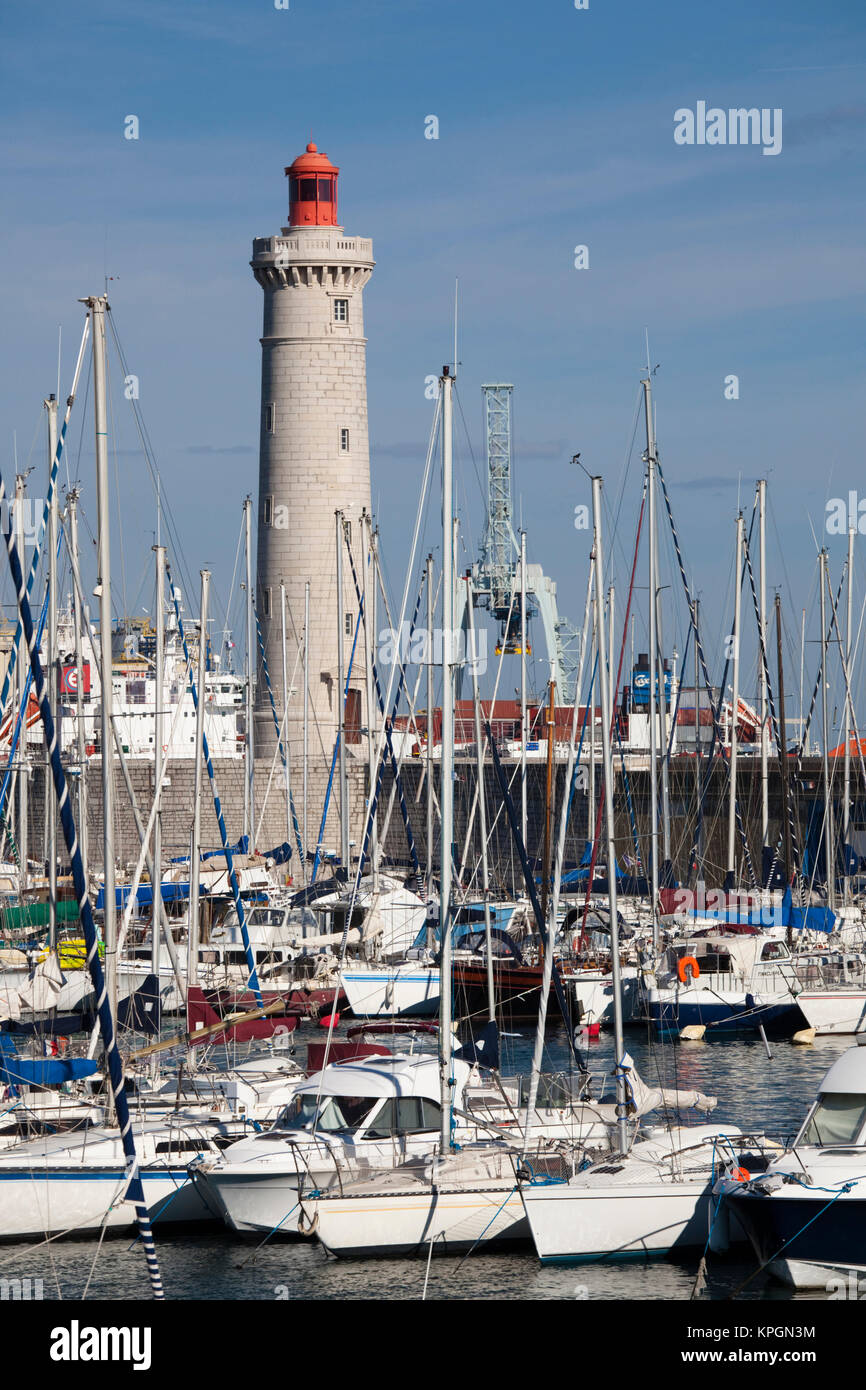 Mole St Louis High Resolution Stock Photography and Images - Alamy