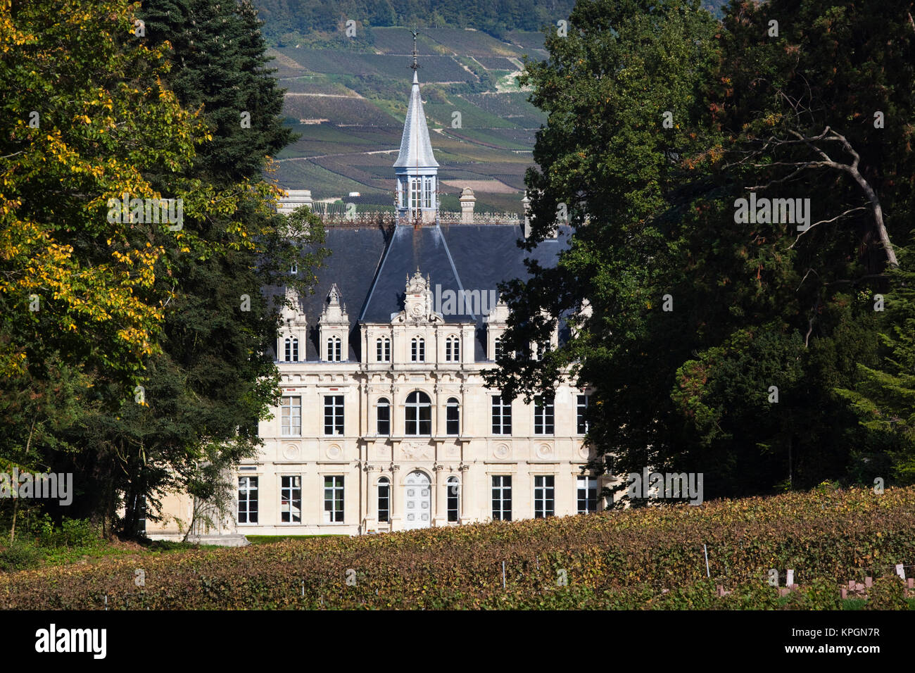France, Marne, Champagne Region, Boursault, Chateau de Borsault Stock ...