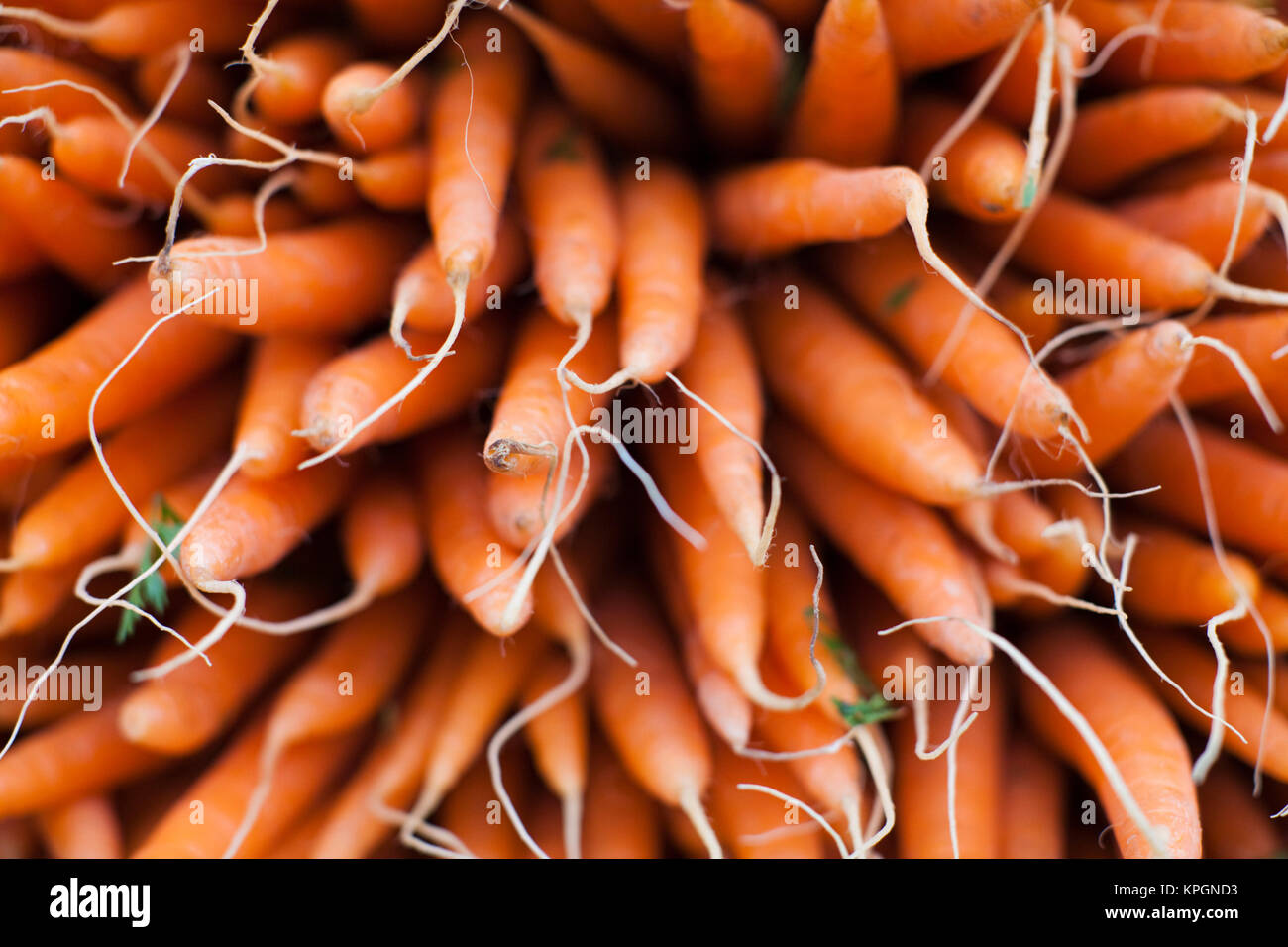 France, Moselle, Lorraine Region, Metz, covered market, carrots Stock ...