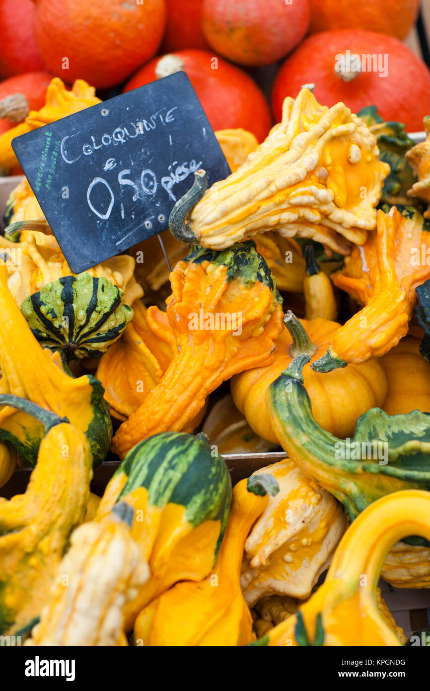 France, Moselle, Lorraine Region, Metz, covered market, squash Stock ...