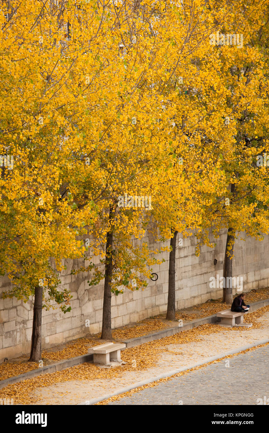 Ile de la cite riverfront hi-res stock photography and images - Alamy