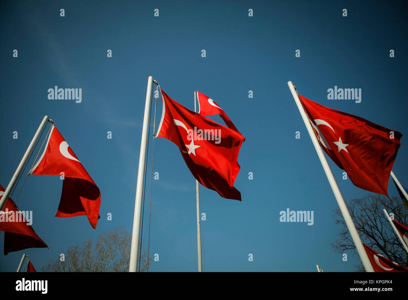 Turkey national flags wave in the wind Stock Photo - Alamy