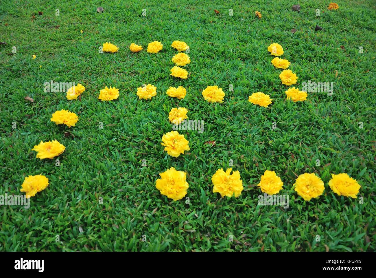 Fresh yellow flowers arranged to form the swastika symbol commonly used ...