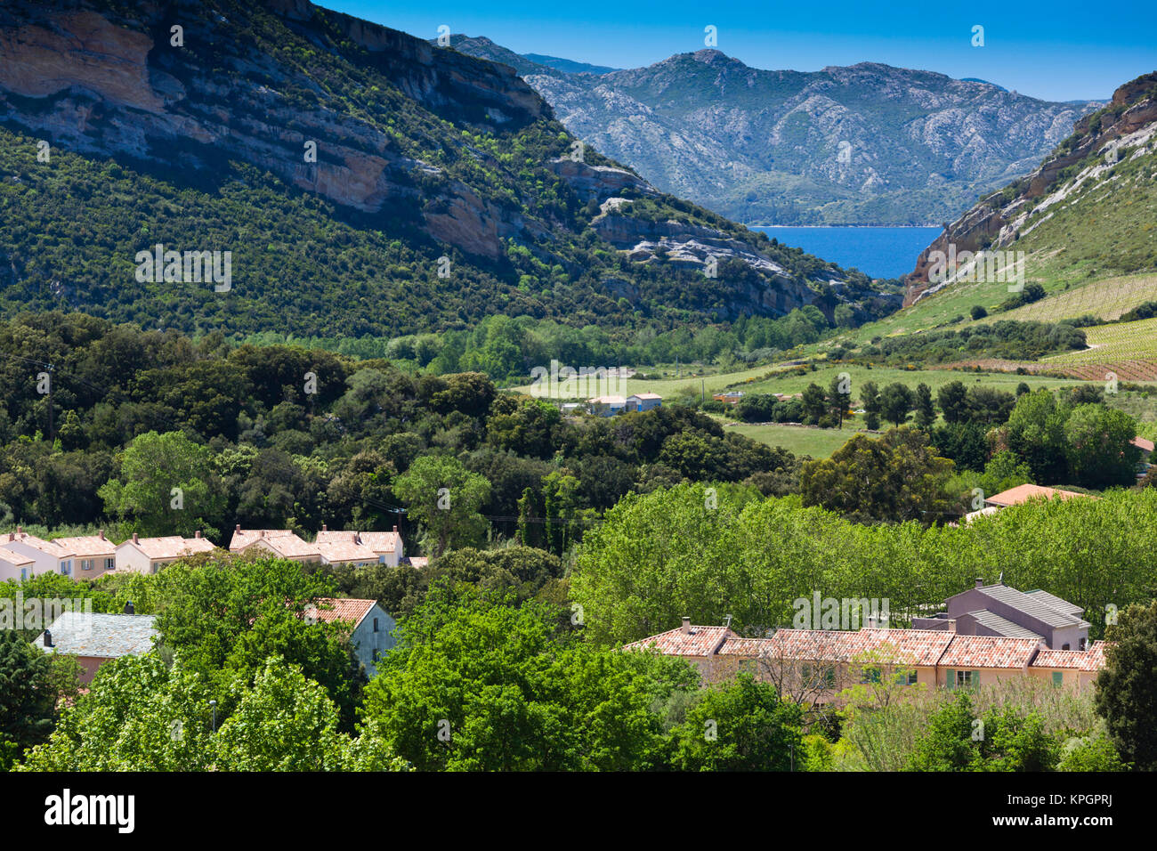 France, Corsica, Le Cap Corse, Patrimonio, elevated town view Stock ...