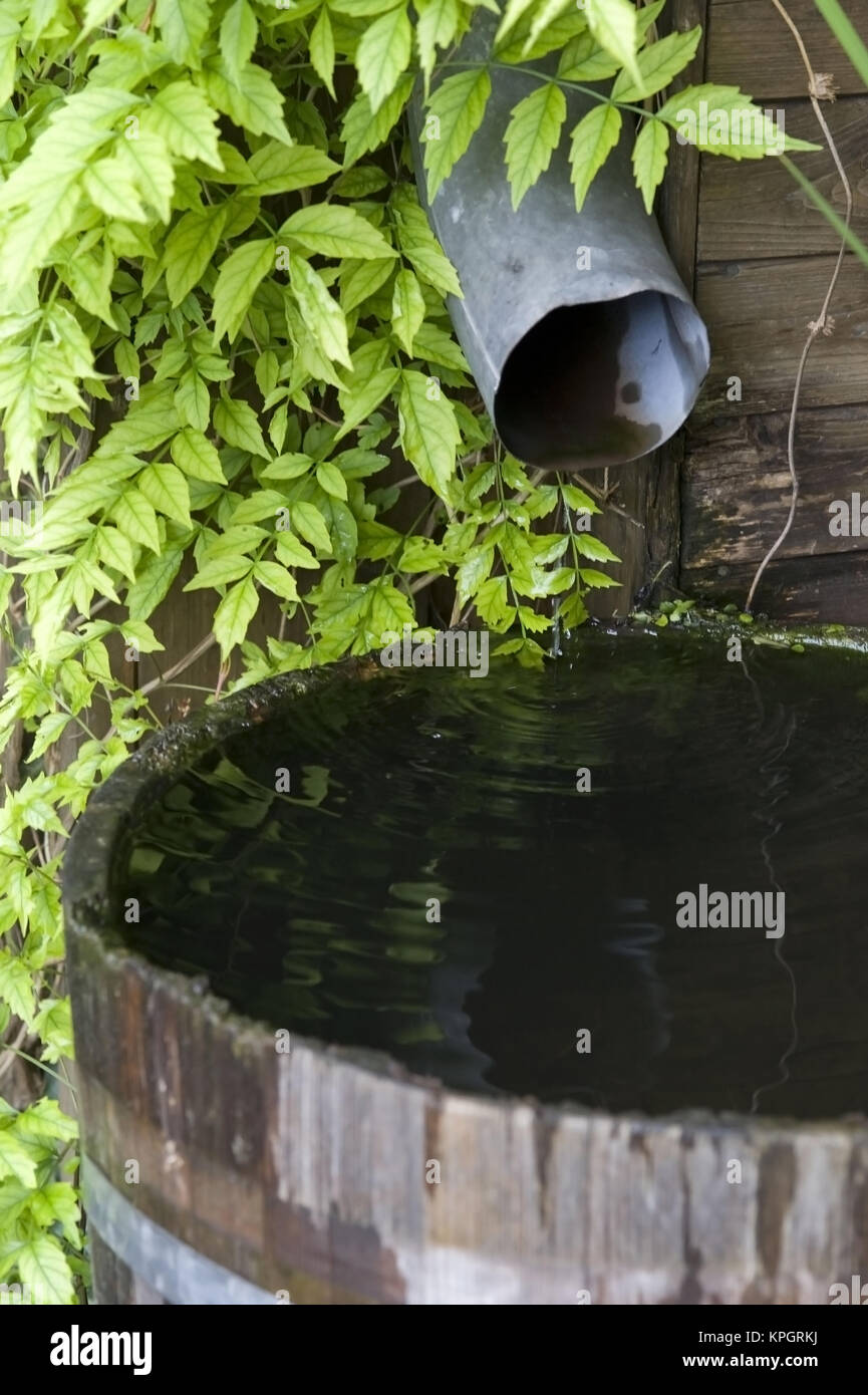 Regenrinne und Regentonne - rainwater gutter and rainwater tank Stock ...