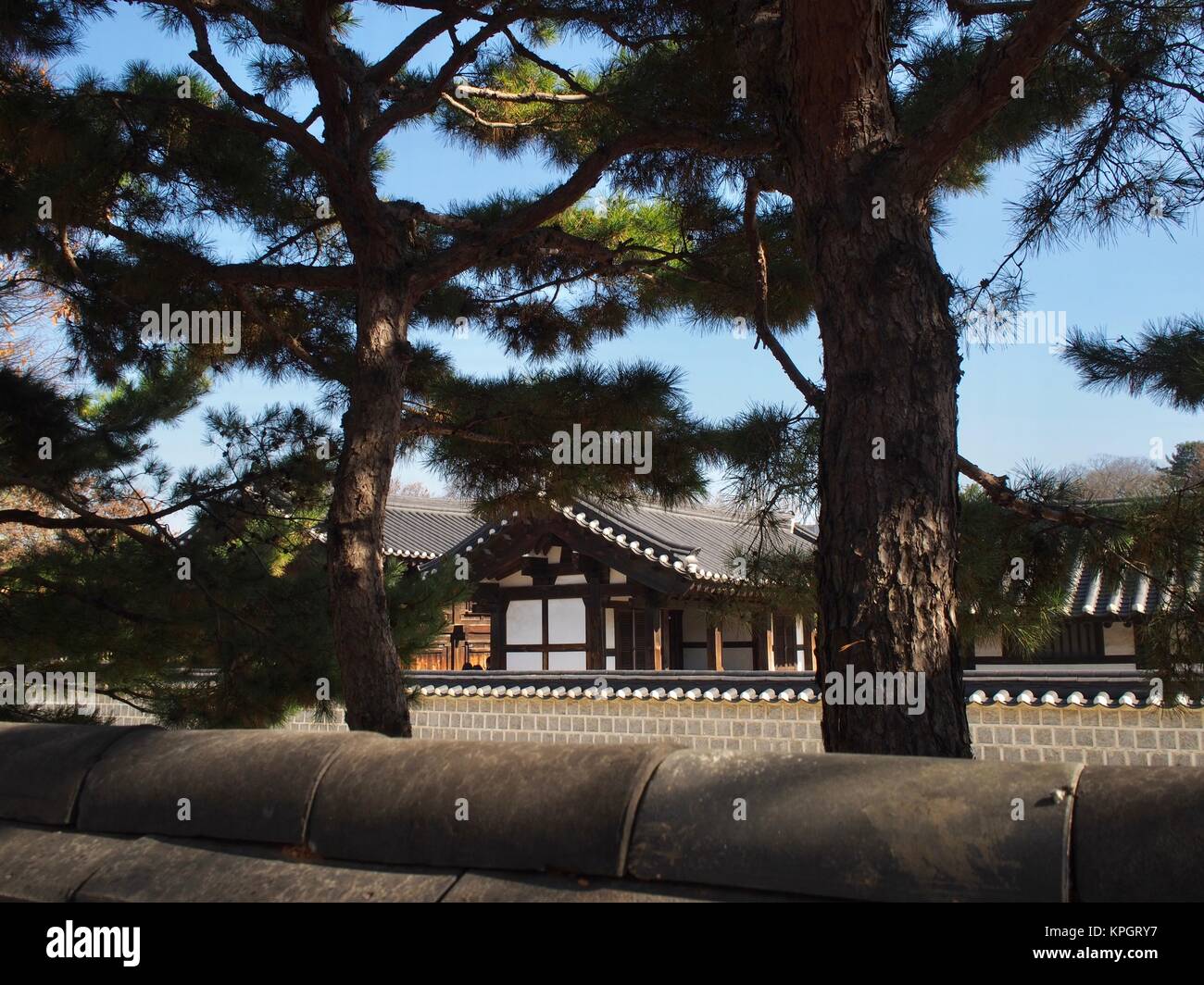Korean Traditional Architecture through trees Stock Photo - Alamy