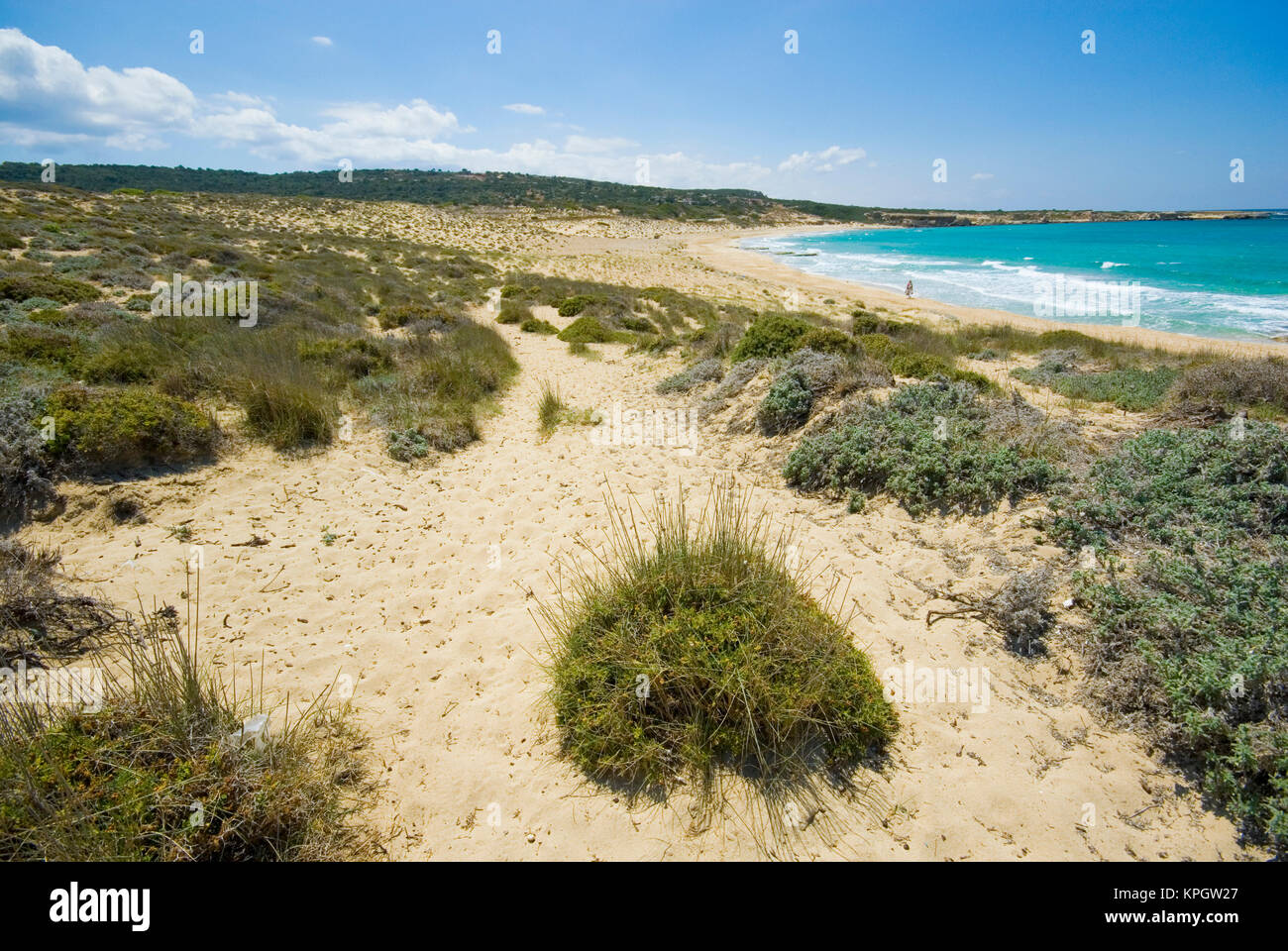 Cyprus, Karpas peninsula, Dipkarpaz, coast and beach near Ayios Philon ...