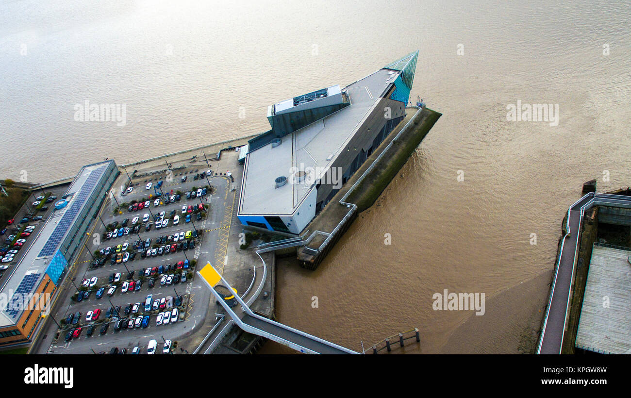 Tidal creatures hi-res stock photography and images - Alamy