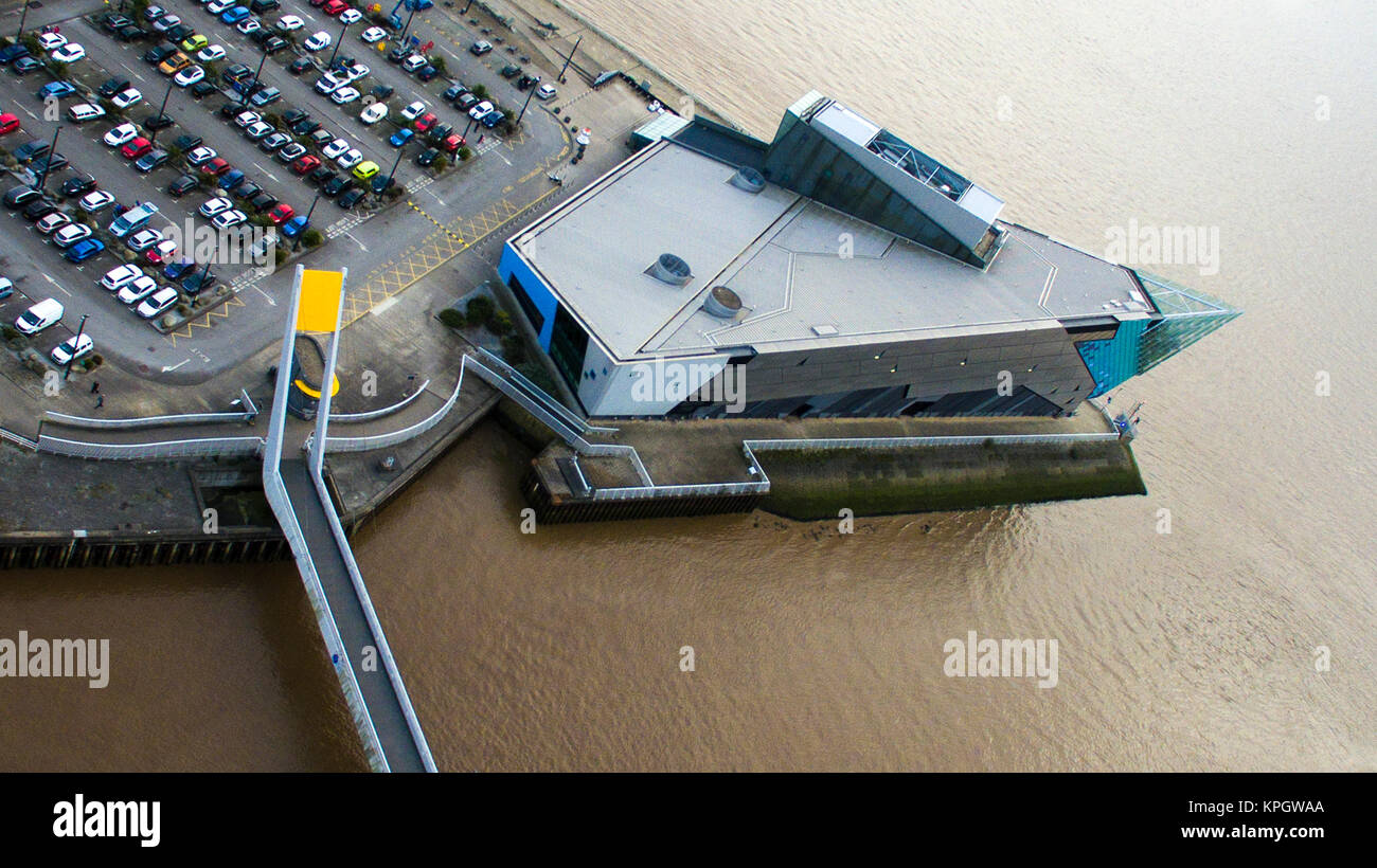Tidal creatures hi-res stock photography and images - Alamy