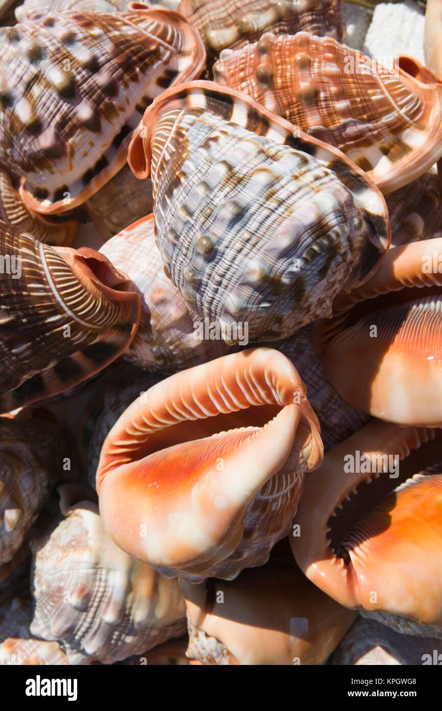 GREECE, Dodecanese Islands, RHODES, Rhodes Town: Commerical Harbor ...