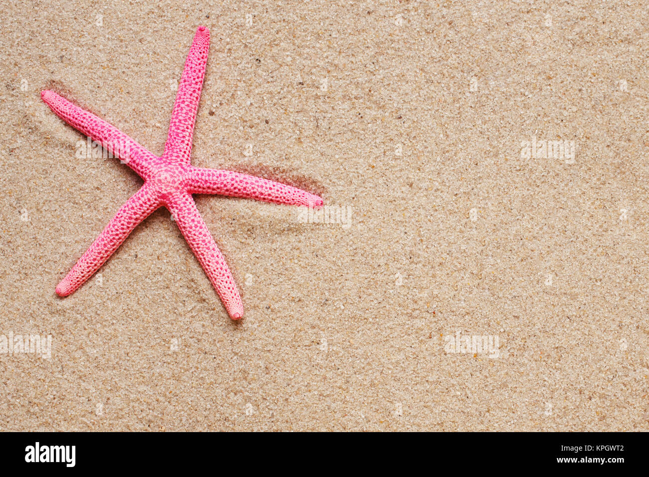 Sea shells on sand.red and yellow Shell Starfish Stock Photo - Alamy