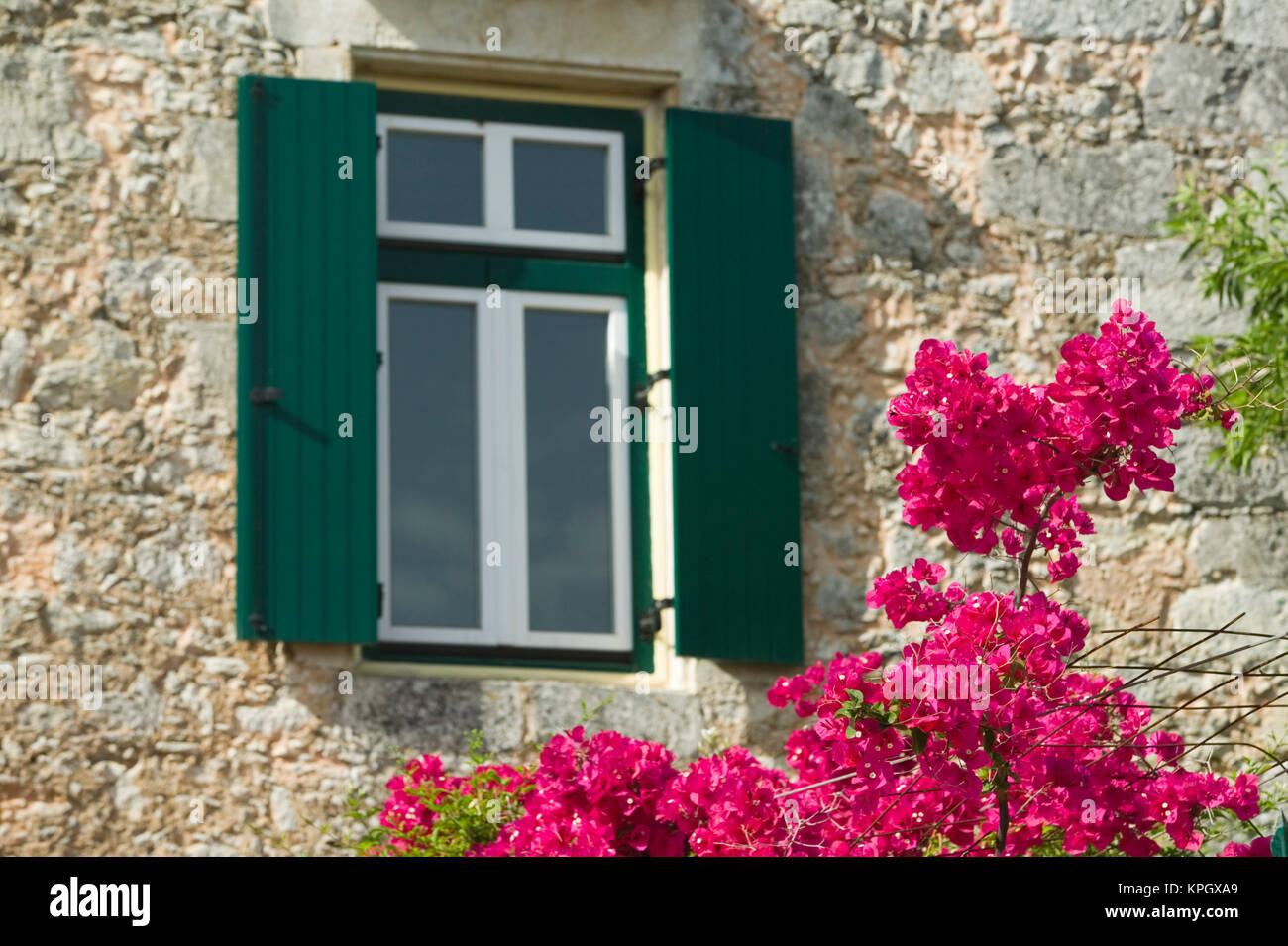 GREECE, CRETE, Hania Province, Vamos: Spring Flowers Detail Stock Photo ...