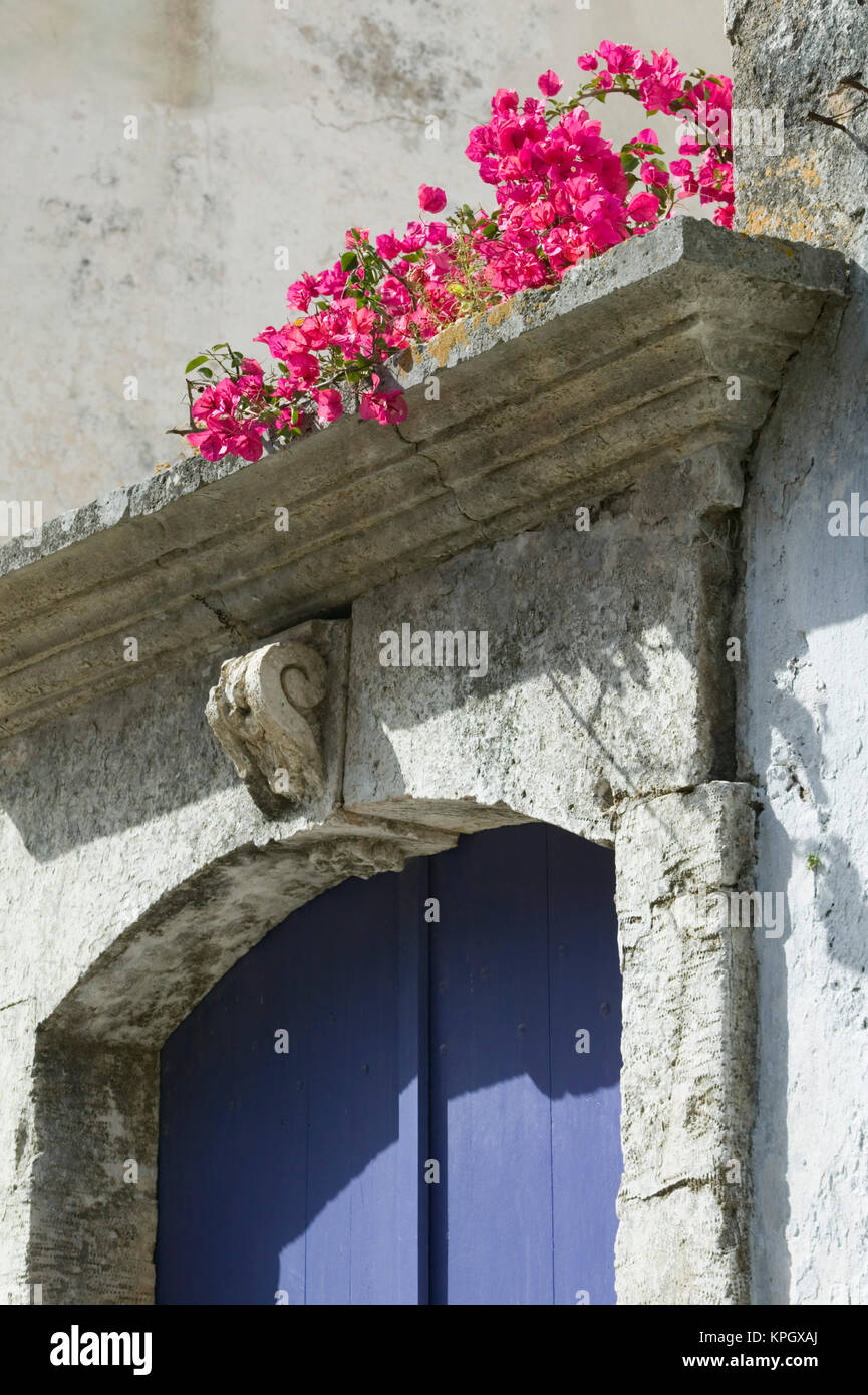GREECE, CRETE, Hania Province, Vamos: Spring Flowers Detail Stock Photo ...