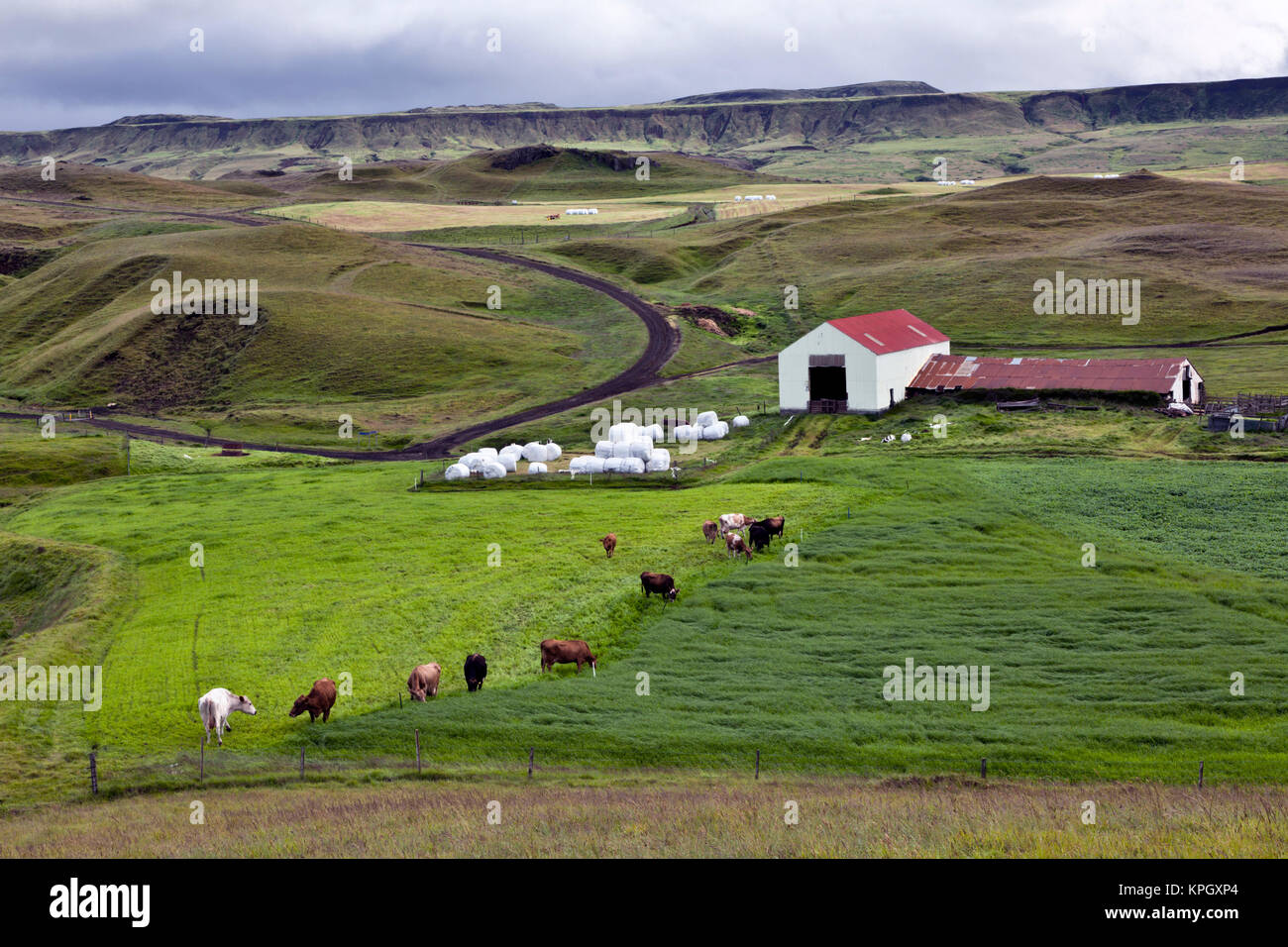 Rural farm scene, Iceland Stock Photo - Alamy