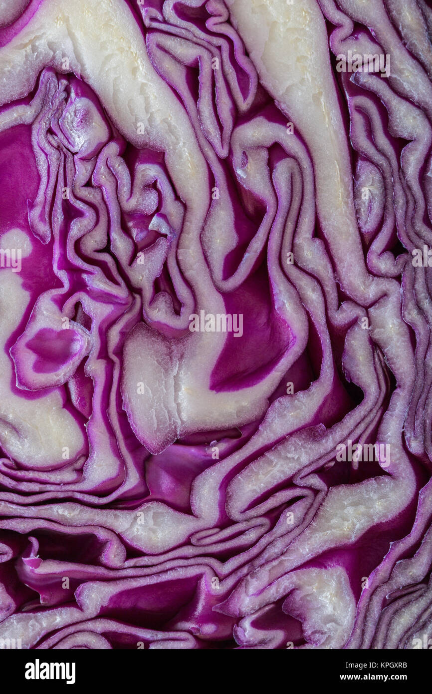 Red cabbage cut up texture background Stock Photo - Alamy