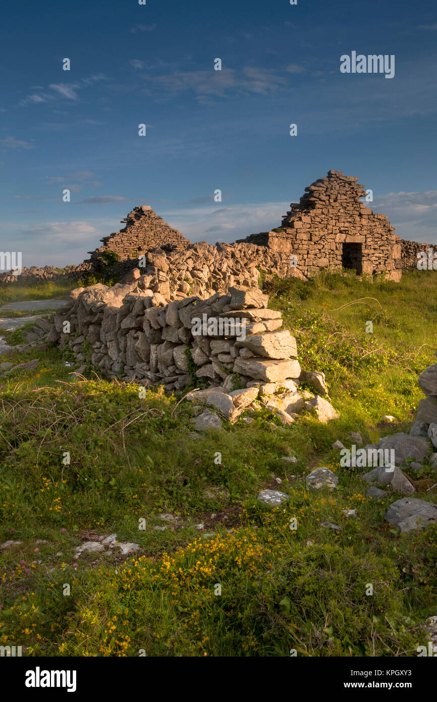 Inishmore Island. Aran Islands. Ireland. Abandoned homestead Stock ...
