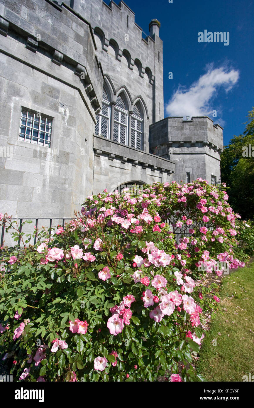 Ireland, County Kilkenny, medieval castle Stock Photo - Alamy