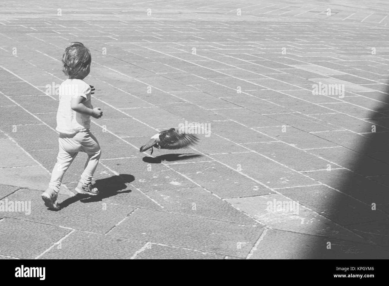 Boy Chasing Bird High Resolution Stock Photography and Images - Alamy