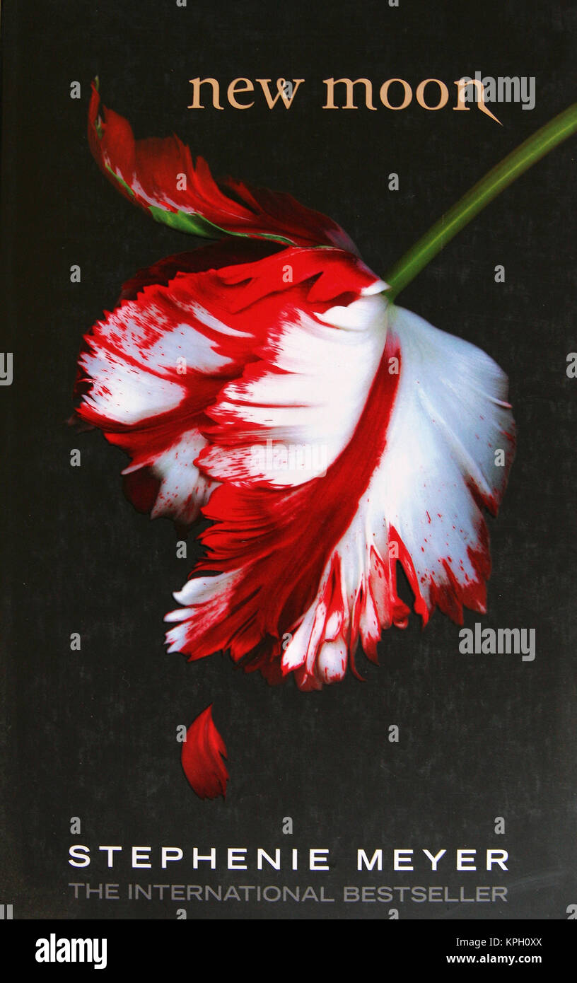 Romance novel cover hi-res stock photography and images - Alamy