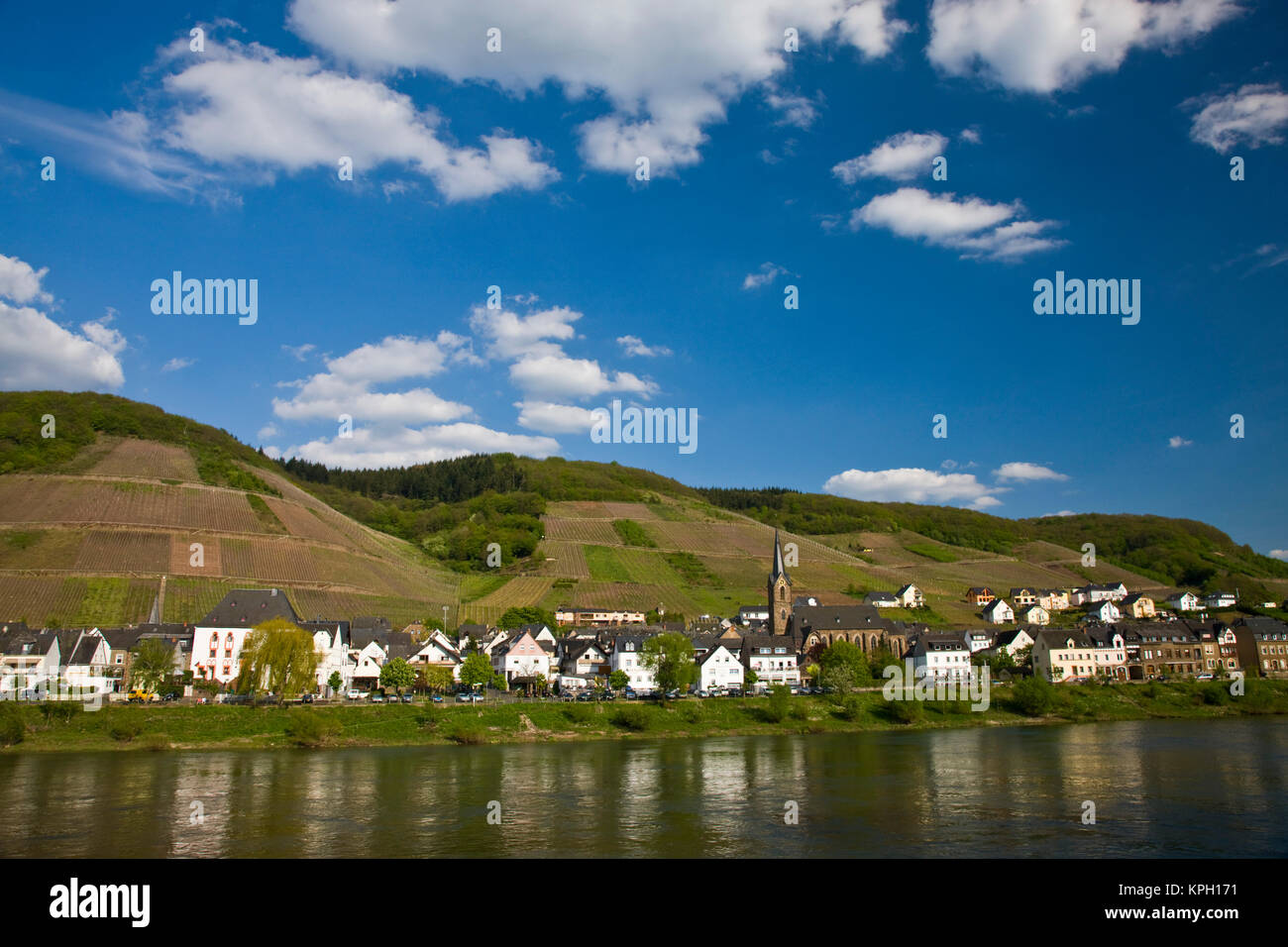 Germany, Rheinland-Pfaltz, Mosel River Valley, Neef. Town view Stock ...