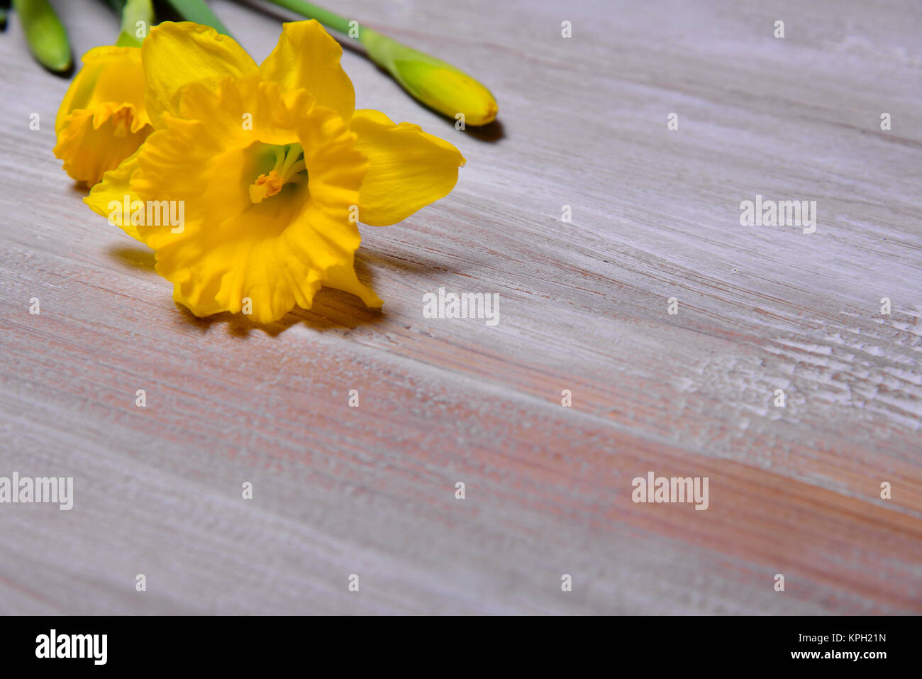 easter background easter bells Stock Photo - Alamy