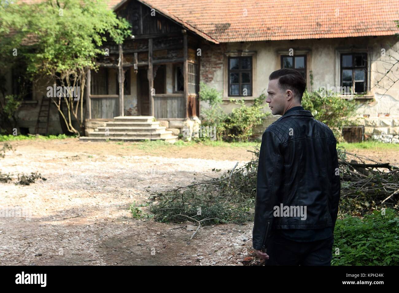 Demon Year : 2015 Poland Director : Marcin Wrona Itay Tiran Stock Photo ...