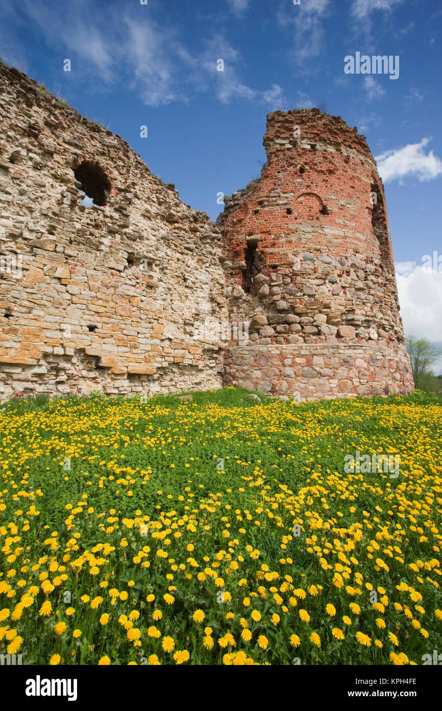 Vastseliina castle ruins hi-res stock photography and images - Alamy
