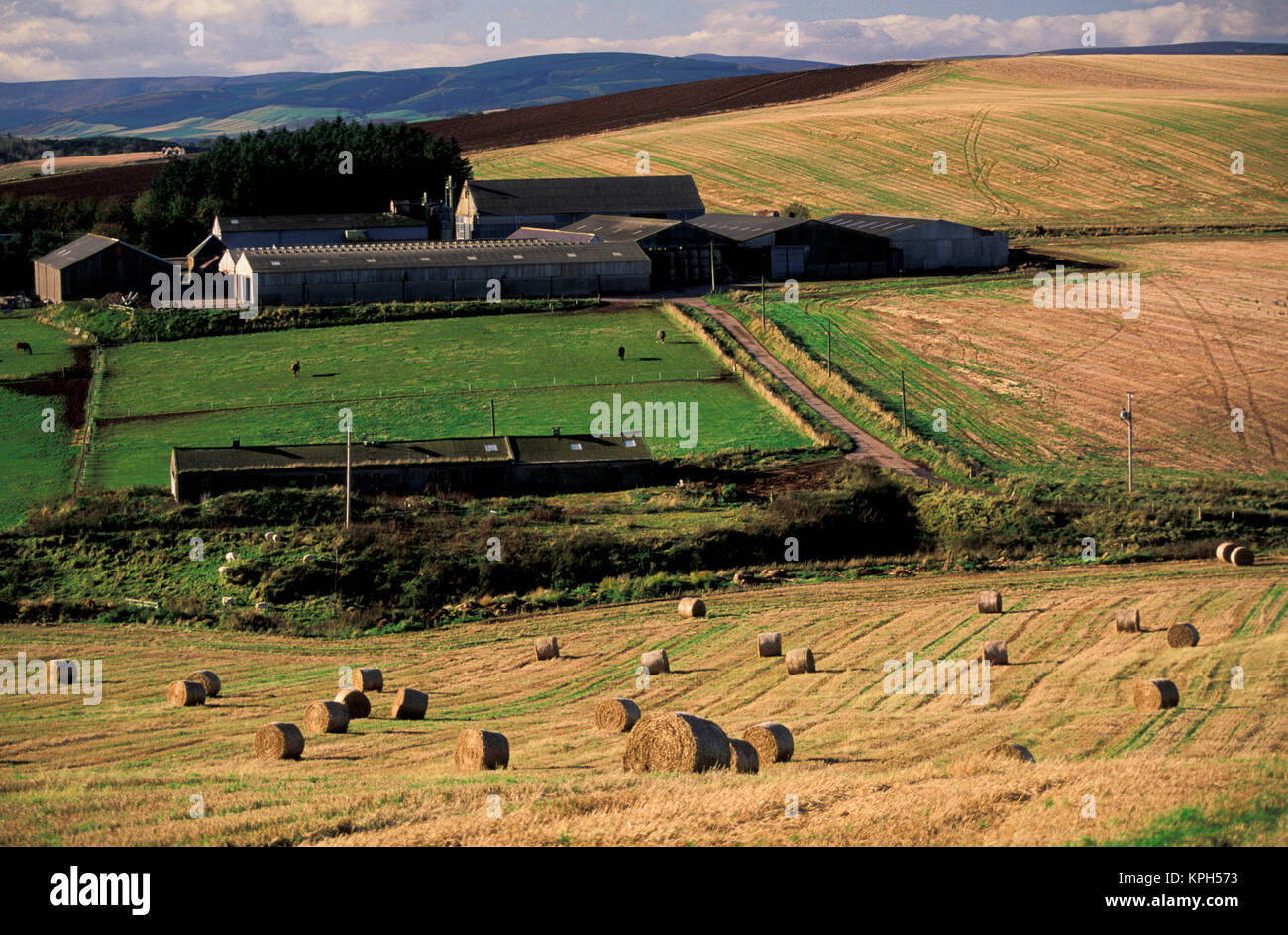 Inverbervie High Resolution Stock Photography and Images - Alamy