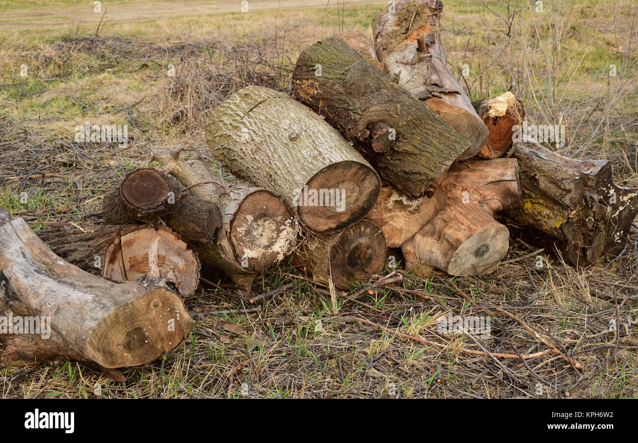 A small pile of firewood stacked Stock Photo - Alamy