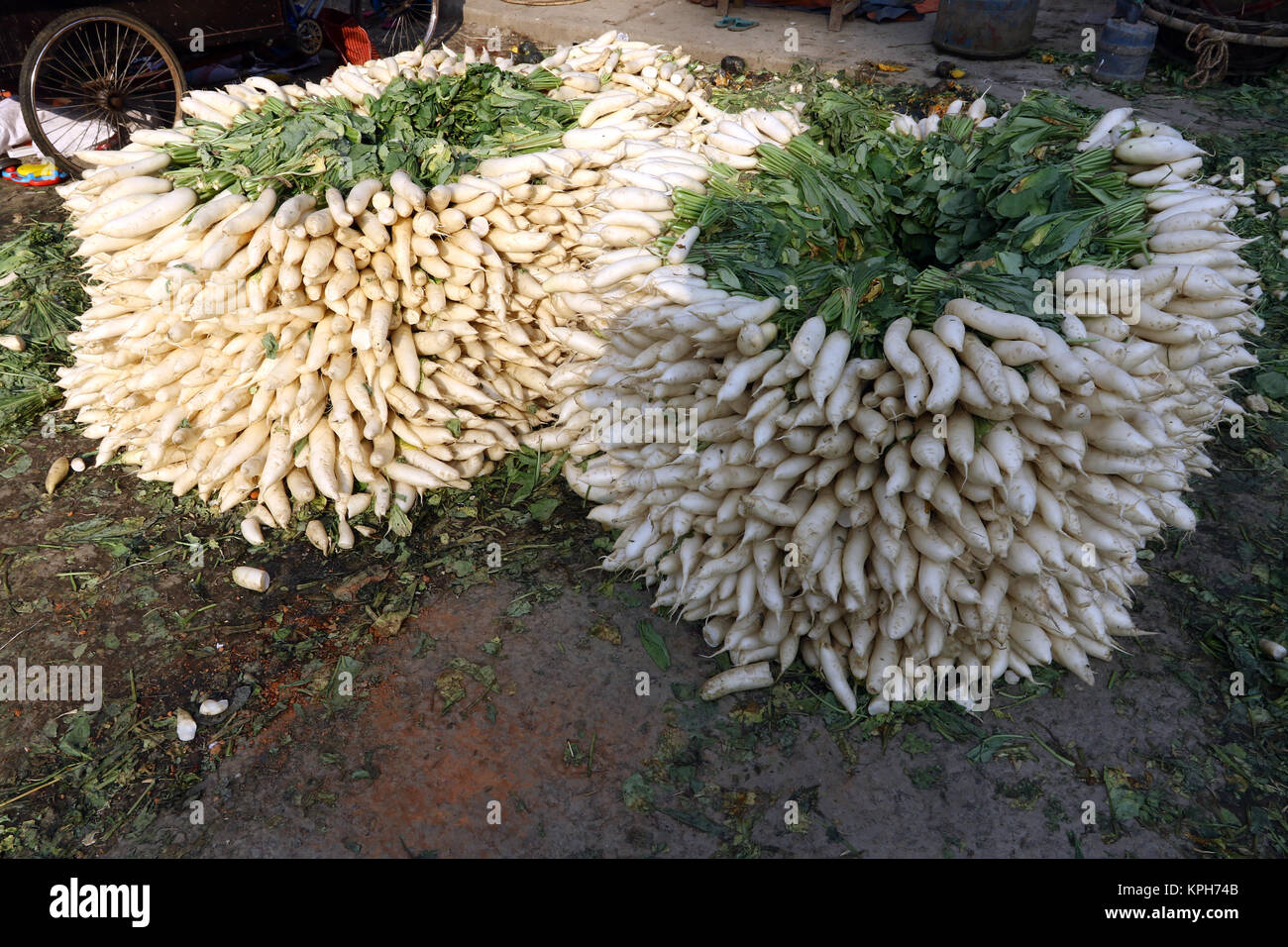 Stack of daikon Stock Photo - Alamy