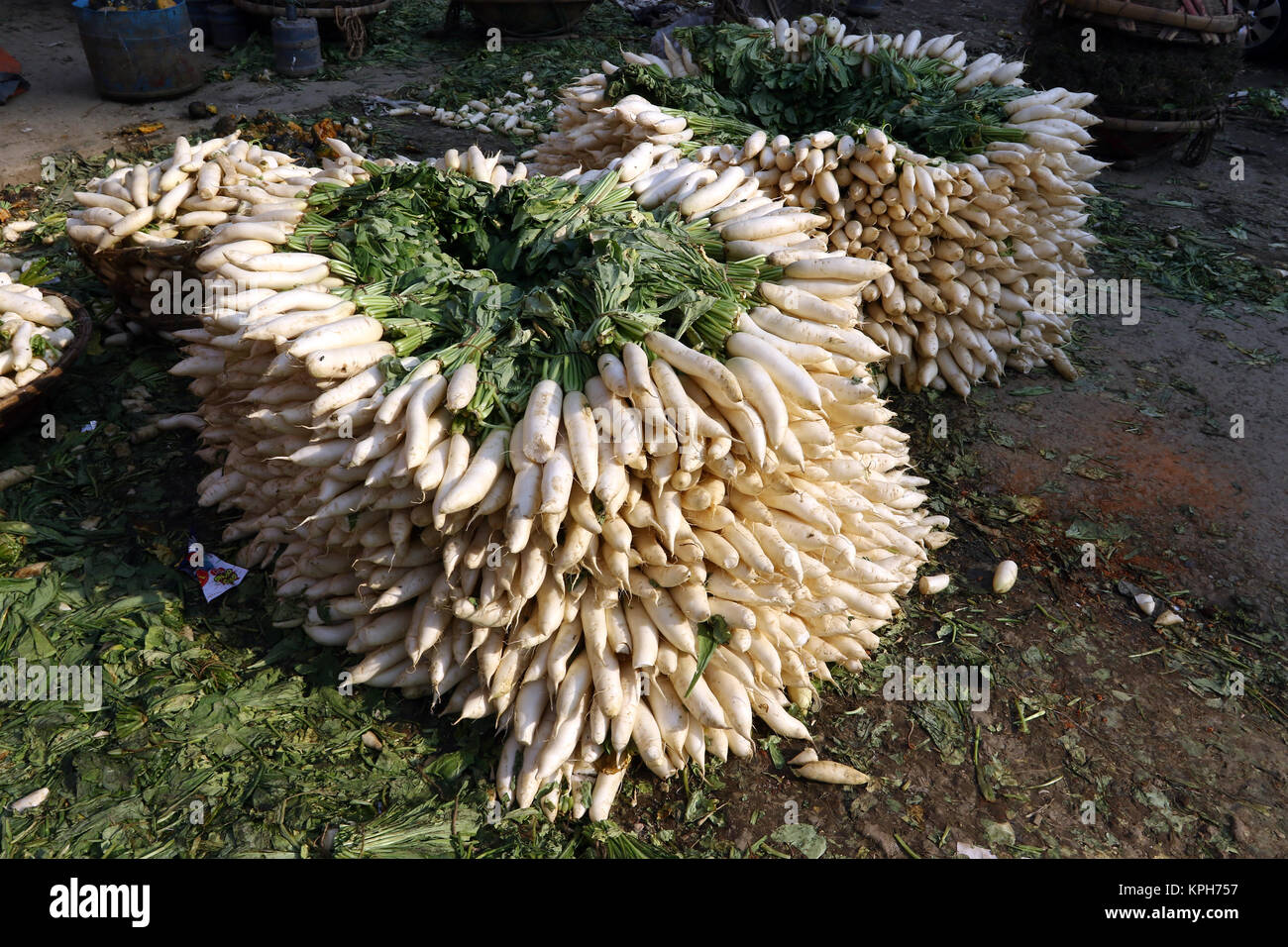 Stack of daikon Stock Photo - Alamy