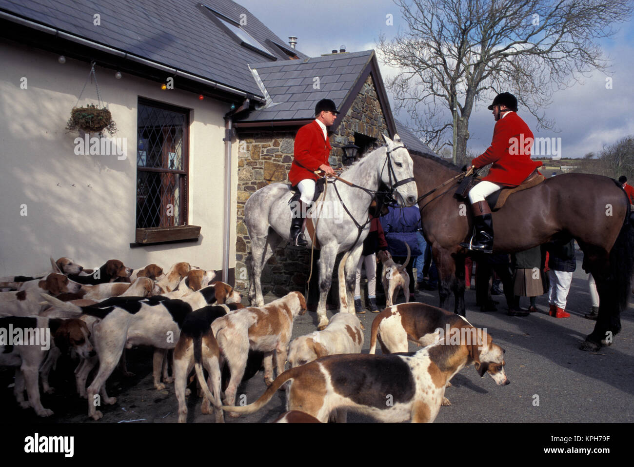 UK, Wales, Fox hunt, riders and hounds awaiting the start of the hunt ...