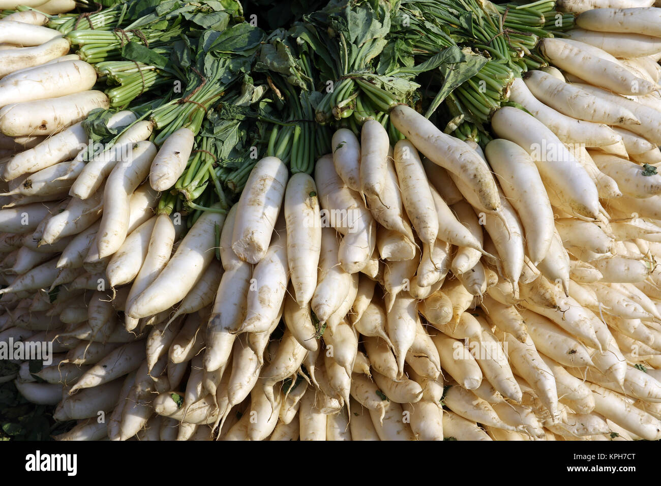 Stack of daikon Stock Photo - Alamy