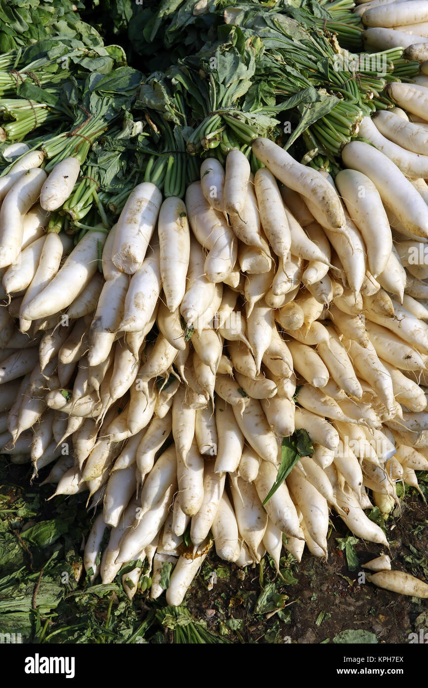 Stack of daikon Stock Photo - Alamy
