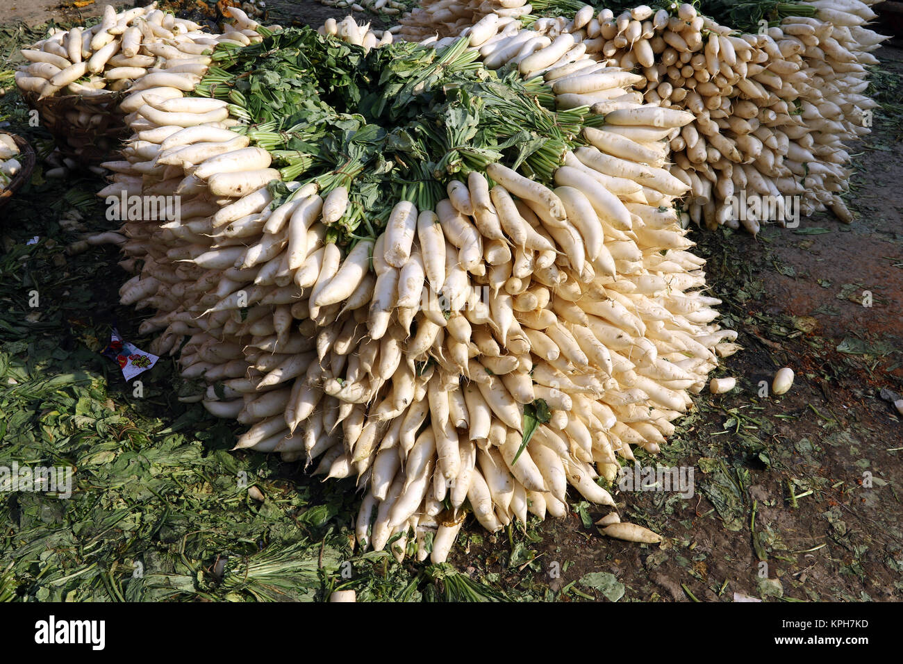 Stack of daikon Stock Photo - Alamy