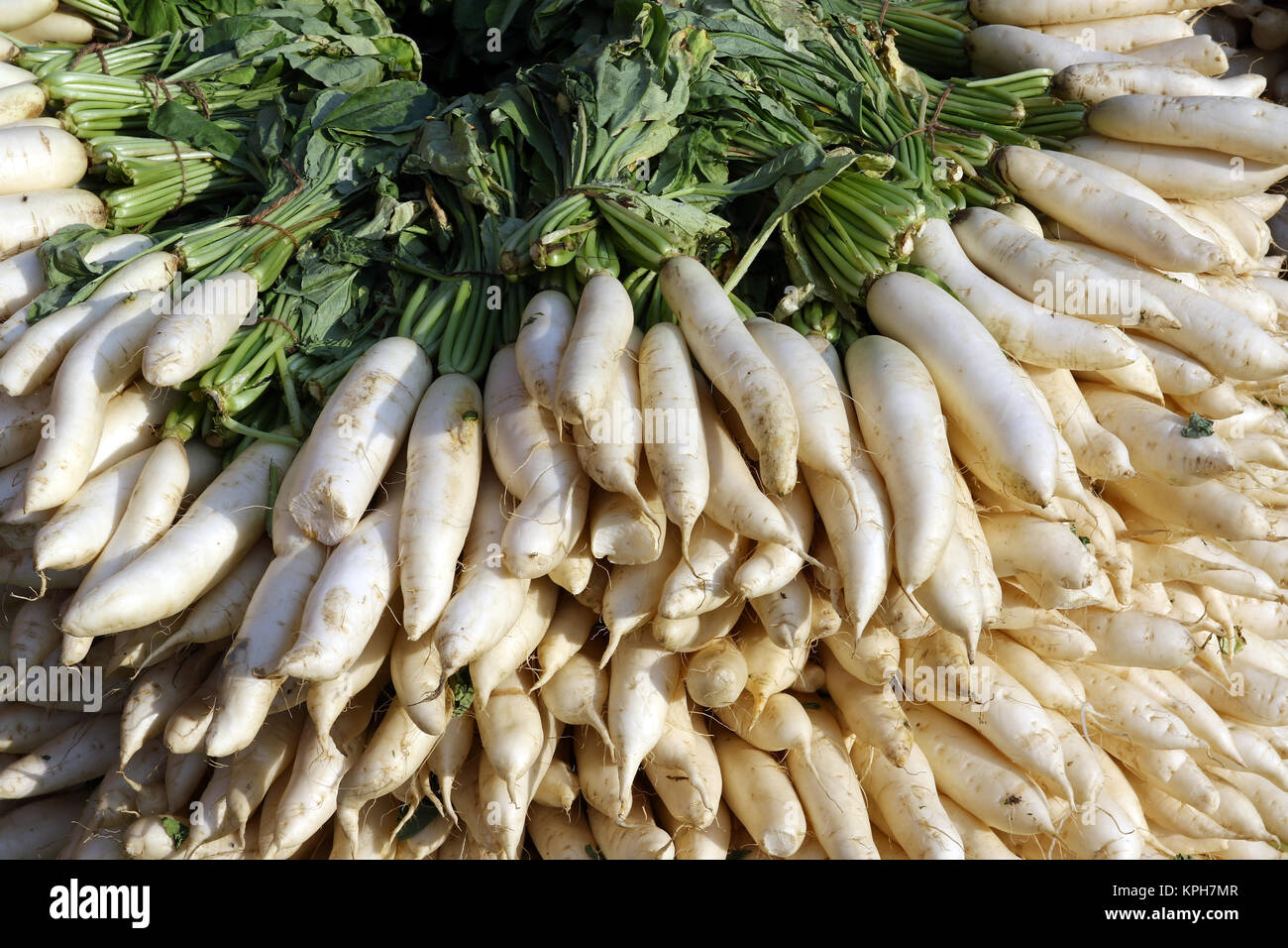 Stack of daikon Stock Photo - Alamy