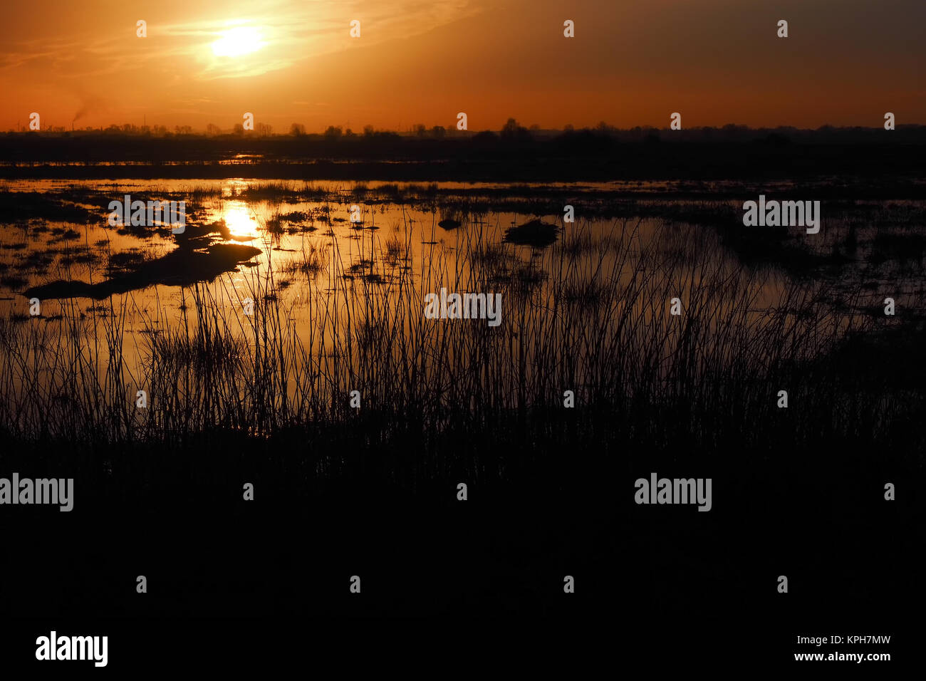 Sunset in the moorland Teufelsmoor in Germany near artist village ...