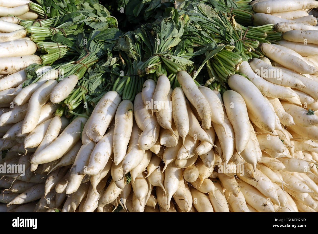 Stack of daikon Stock Photo - Alamy