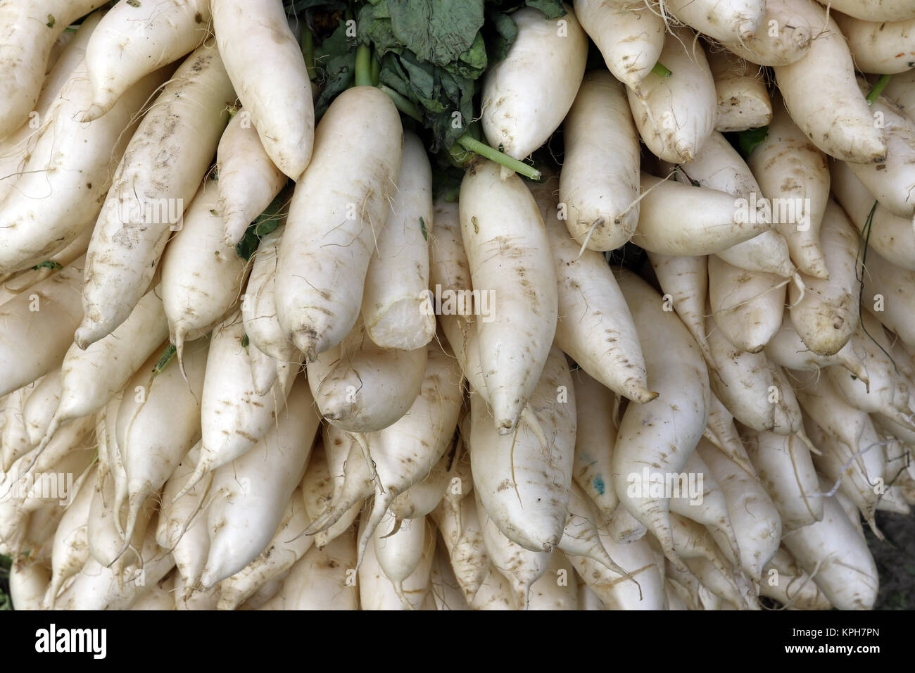 Stack of daikon Stock Photo - Alamy