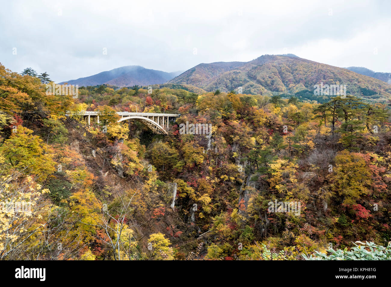 The Naruko Gorge Autumn leaves in the fall season, Japan Stock Photo ...